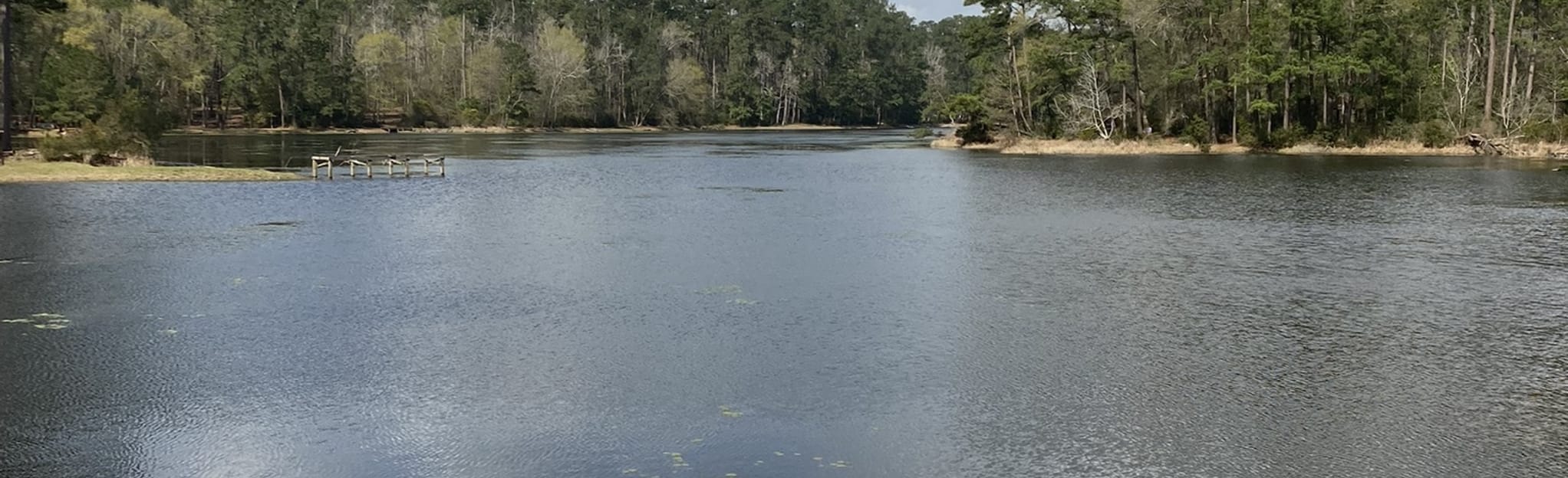 Double Lake Lakeshore Trail, Texas - 35 Reviews, Map | AllTrails