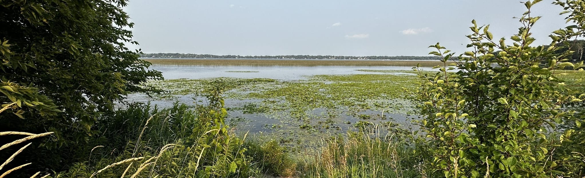 Korth Park Loop : 28 Photos - Wisconsin | Randonnée | AllTrails