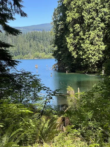 Best Hikes and Trails in Hayward Lake Recreation Area | AllTrails