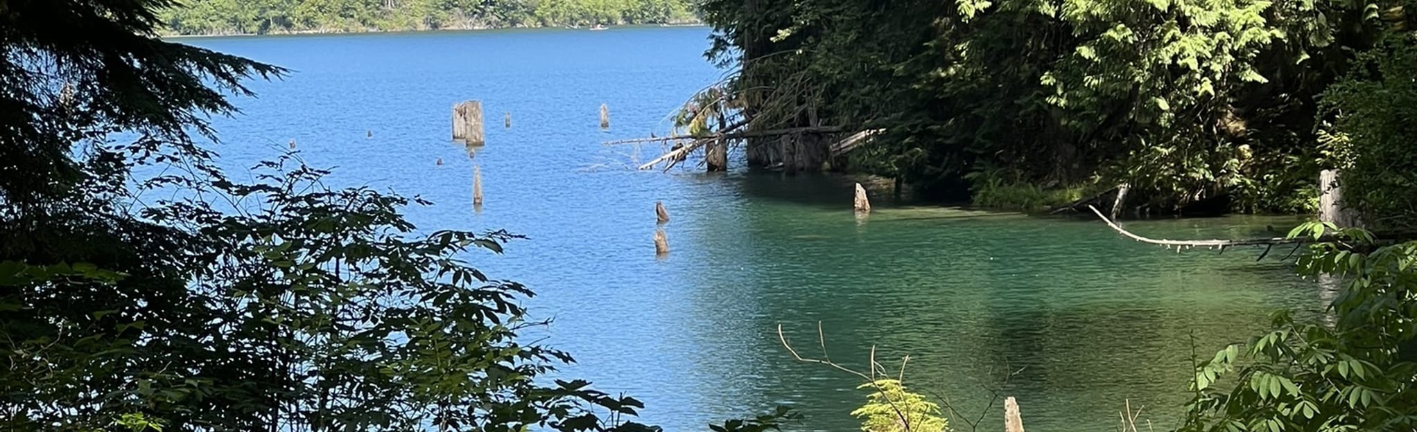 Hayward Lake, British Columbia, Canada - 48 Reviews, Map | AllTrails