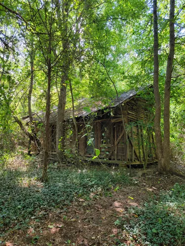 Best Hikes and Trails in Mazeppa Park | AllTrails