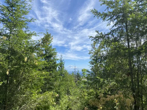 10 Best Trails and Hikes in Issaquah | AllTrails
