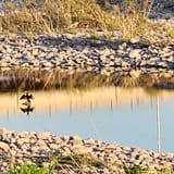 Salt River Shore and Rio Salado Pathway, Arizona - 303 Reviews, Map ...