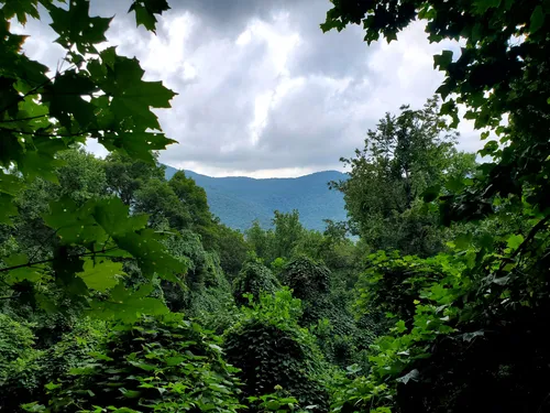 10 Best Hikes and Trails in Frozen Head State Park | AllTrails