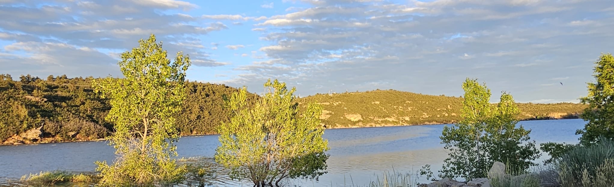 Dolores River Trail, Colorado - 67 Reviews, Map | AllTrails