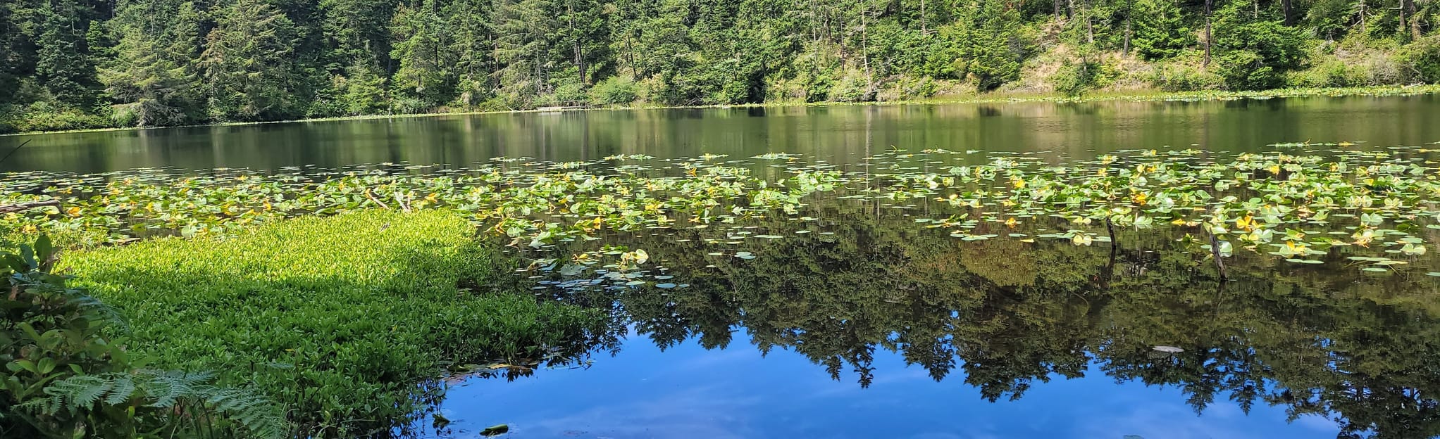 Roundabout, Humpty Dump, Boundary Trail, and Hugh's Delight Loop ...