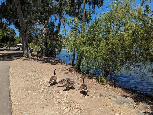 Best Hikes and Trails in Vasona Lake County Park | AllTrails