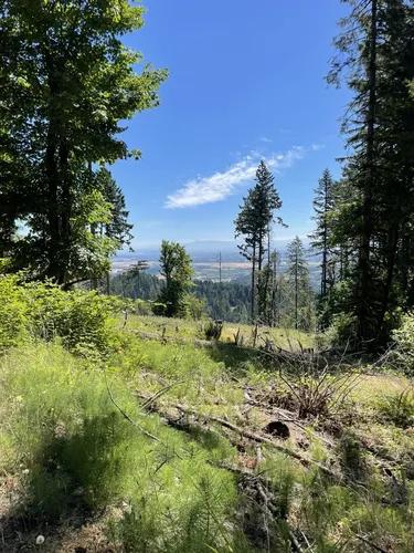 Best Forest Trails in Adair Village | AllTrails