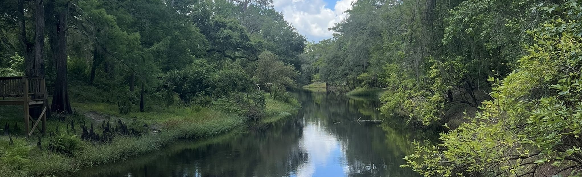 Croom River Trail Loop: 138 Reviews, Map - Florida | AllTrails