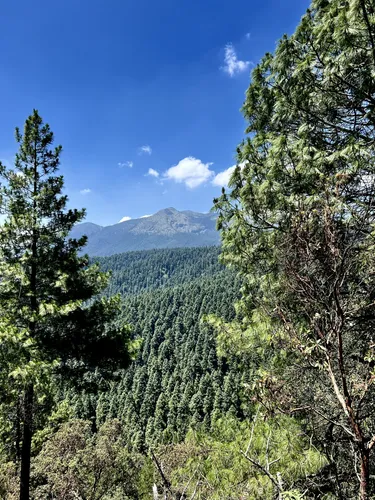 2023 Best 10 Trails and Hikes in Mexico City | AllTrails