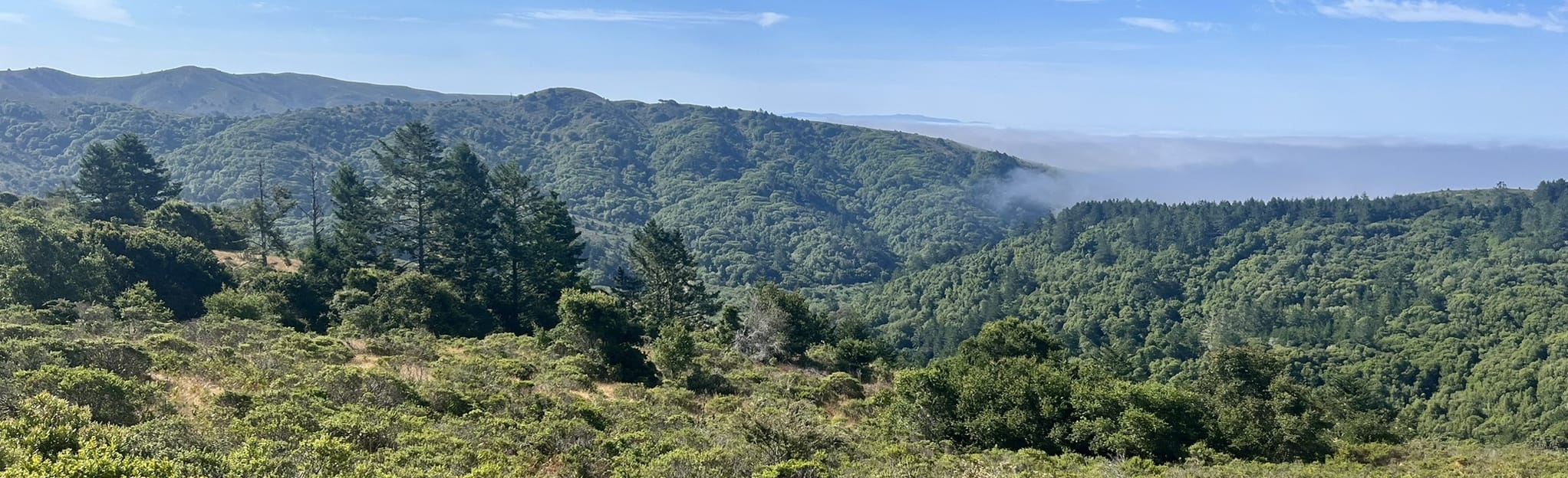 Dipsea to Ben Johnson Trail Loop via Stinson Beach: 13.808 foto's ...