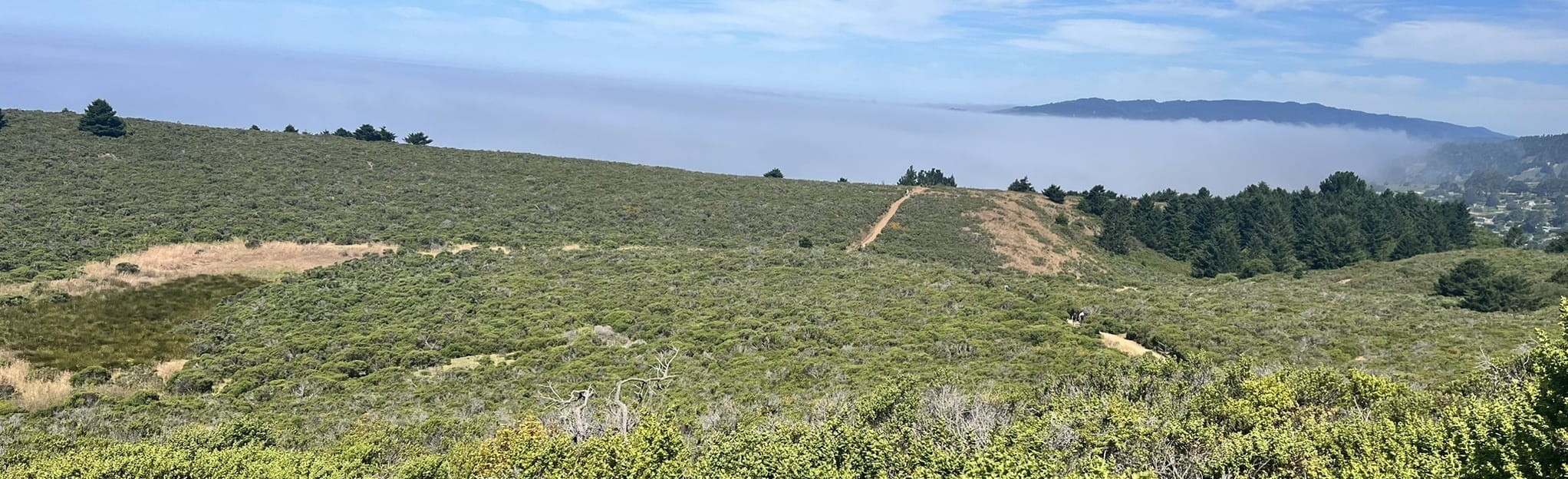 Dipsea Trail via Steep Ravine and Ben-Johnson Trail, California - 241 ...