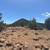 Mount Rosa Trail, Colorado - 517 Reviews, Map | AllTrails