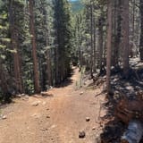 Mount Rosa Trail, Colorado - 517 Reviews, Map | AllTrails