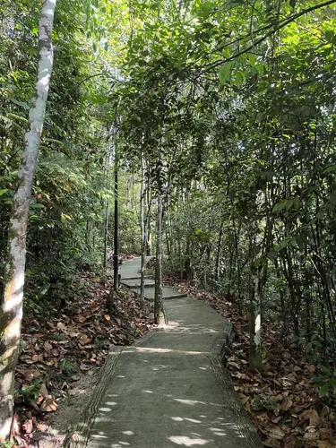 Best Waterfall Trails in Bukit Gasing Forest Park | AllTrails