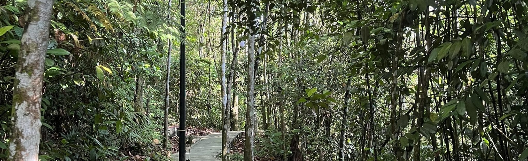 Bukit Gasing via Valley and Backbone: 117 Reviews, Map - Selangor ...