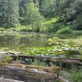 Greider Lakes Trail, Washington - 588 Reviews, Map | AllTrails
