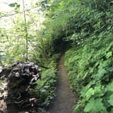 Tire Mountain Trail, Oregon - 149 Reviews, Map | AllTrails