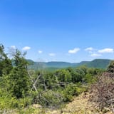 Cecil Cove Loop Trail, Arkansas - 157 Reviews, Map | AllTrails