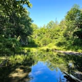 Cecil Cove Loop Trail, Arkansas - 157 Reviews, Map | AllTrails