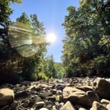 Cecil Cove Loop Trail, Arkansas - 157 Reviews, Map | AllTrails