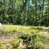 Cecil Cove Loop Trail, Arkansas - 157 Reviews, Map | AllTrails