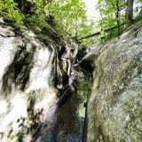 Cecil Cove Loop Trail, Arkansas - 157 Reviews, Map | AllTrails