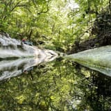 Cecil Cove Loop Trail, Arkansas - 157 Reviews, Map | AllTrails