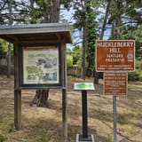 Huckleberry Hill Loop Trail, California - 759 Reviews, Map | AllTrails
