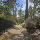 Huckleberry Hill Loop Trail, California - 759 Reviews, Map | AllTrails