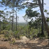 Huckleberry Hill Loop Trail, California - 759 Reviews, Map | AllTrails