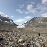 Forefield Trail of the Athabasca Glacier, Alberta, Canada - 164 Reviews ...