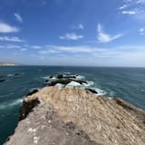 Point Arena-Stornetta Unit of the California Coastal National Monument ...