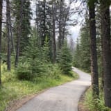 Lake Annette Loop, Alberta, Canada - 806 Reviews, Map | AllTrails