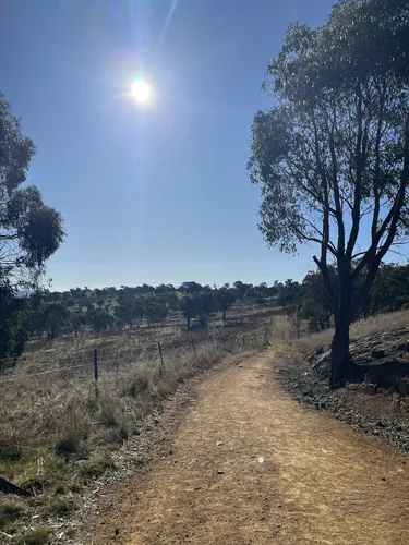 2023 Best Short Trails in Denman Prospect | AllTrails