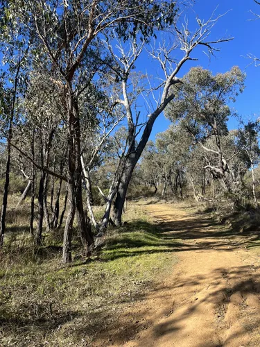 2023 Best Short Trails in Denman Prospect | AllTrails