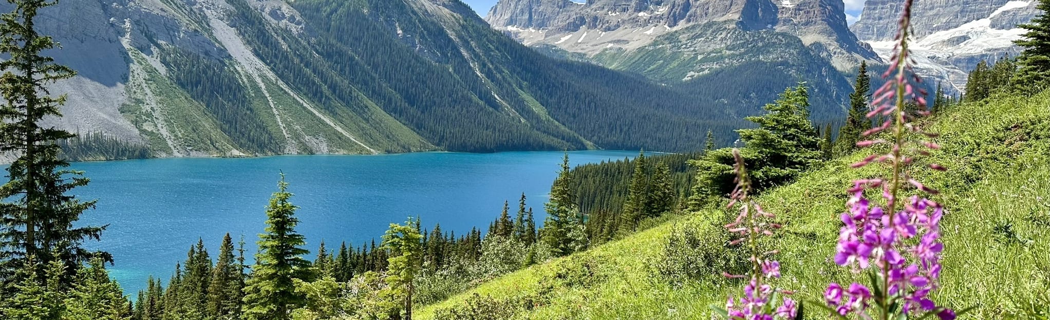 Lake Magog to Mt Shark Trailhead via Wonder Pass: 575 foto - Columbia ...