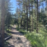 Tallman Ranch via Bridge Creek Trailhead, Colorado - 459 Reviews, Map ...