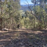Long Gully Track Loop, Victoria, Australia - 58 Reviews, Map | AllTrails