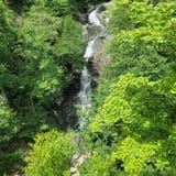 Cedar Run Falls Trail, Virginia - 440 Reviews, Map | AllTrails