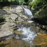 Cedar Run Falls Trail, Virginia - 440 Reviews, Map | AllTrails