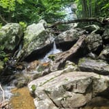 Cedar Run Falls Trail, Virginia - 440 Reviews, Map | AllTrails