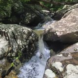 Cedar Run Falls Trail, Virginia - 474 Reviews, Map | AllTrails