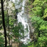 Cedar Run Falls Trail, Virginia - 474 Reviews, Map | AllTrails