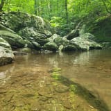 Cedar Run Falls Trail, Virginia - 474 Reviews, Map | AllTrails