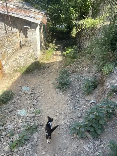 Best Hikes and Trails in Koutra - Chorafi - Agrias - Chorafelia ...