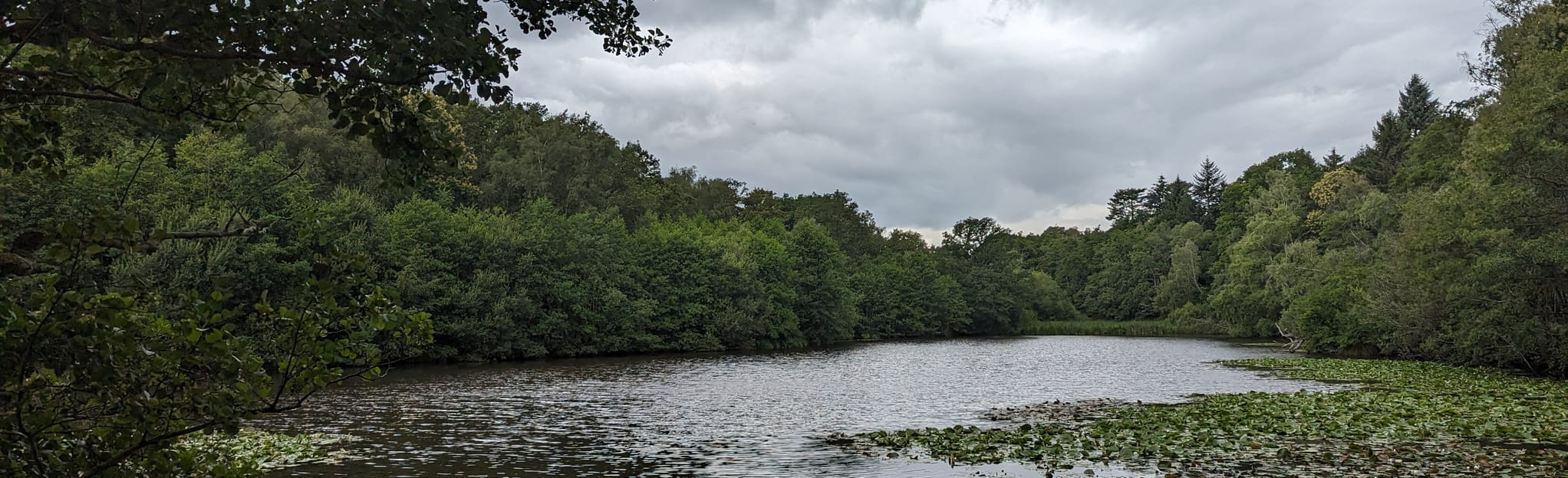 Silchester Roman Town Wall, Pamber Forest and Benyon’s Enclosure ...