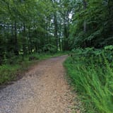 Cash Lake Loop Trail, Maryland - 1,029 Reviews, Map | AllTrails