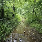 Moormans River and Appalachian Trail Loop, Virginia - 230 Reviews, Map ...