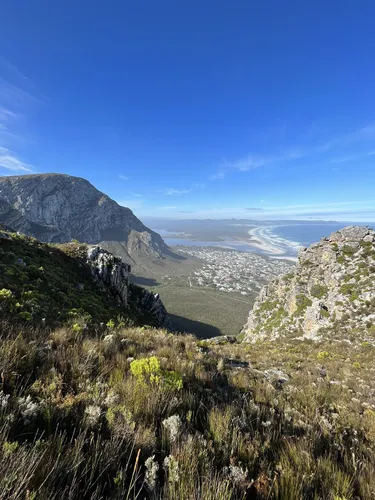 2023 Best Walking Trails in Fernkloof Nature Reserve | AllTrails